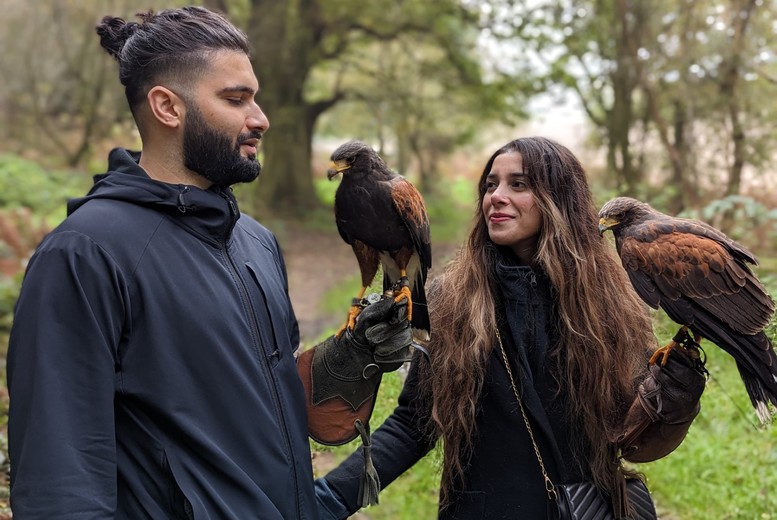 £59 instead of £110 for a 60 Min Hawk Walk Experience for 2 at ...