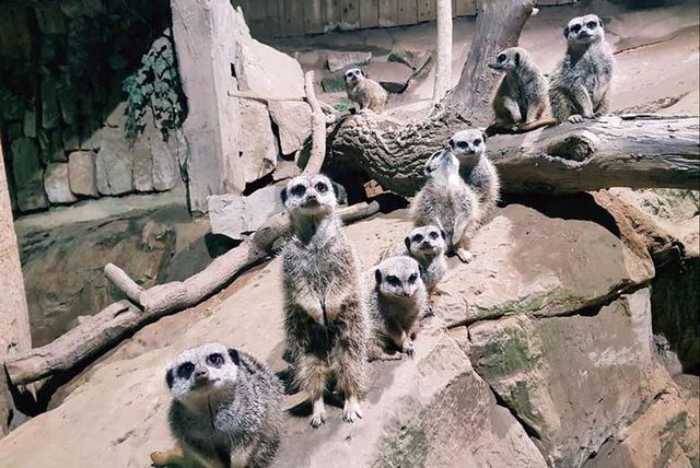 Wowcher | Deals in Glasgow - Save up to 80%