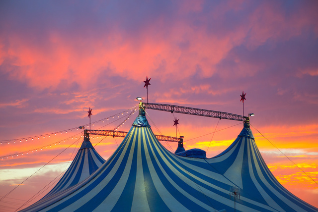 Russells International Circus Tickets | Derby